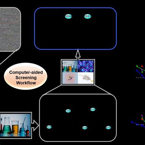 Virtual Compound Screening Workflow And Enzyme Inhibition Assays Of Download Scientific Diagram