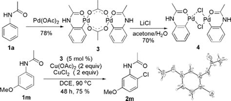 Acetanilide Functional Groups