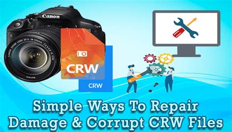 How To Repair Corrupt Or Damaged Canon CRW Files