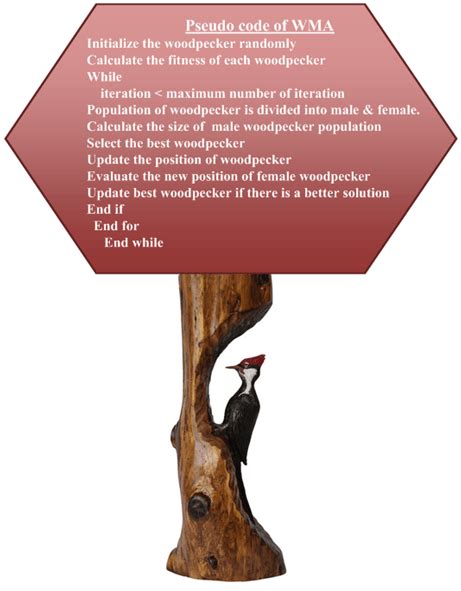 A New Nature Inspired Search Algorithm Woodpecker Mating Algorithm Wma Applies It To