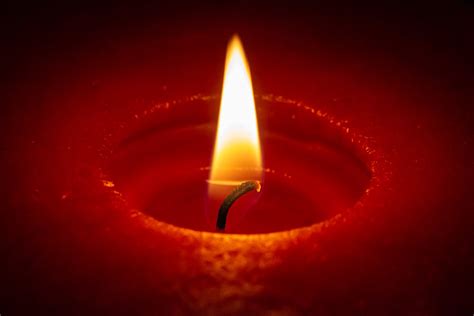 ВОСЪК | Lentata