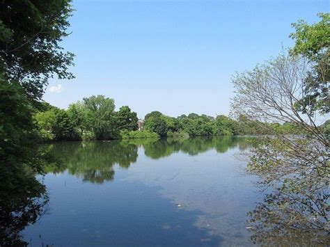 Clay Pit Pond Alchetron The Free Social Encyclopedia