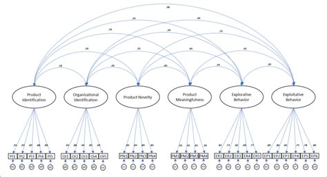 structural equation models for reliability and validity tests
