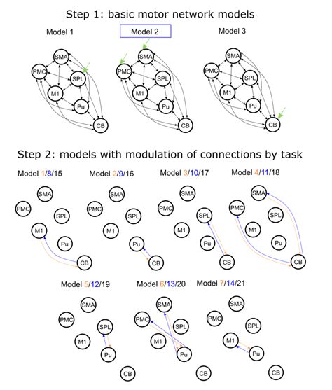 Dynamic Causal Modelling Analysis In The First Step We Compared Three