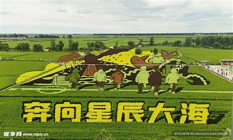 稻田画摄影图 国内旅游 旅游摄影 摄影图库 昵图网