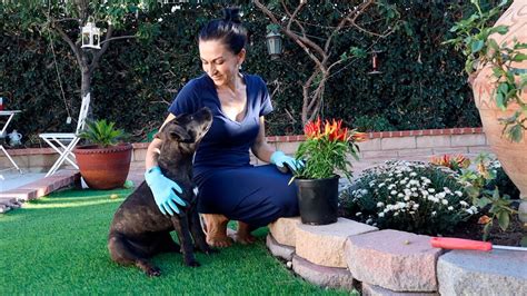 Кофе на Бегу Сажаю Цветы Хочется Вас Услышать Эгине Семейный Влог Heghineh Youtube