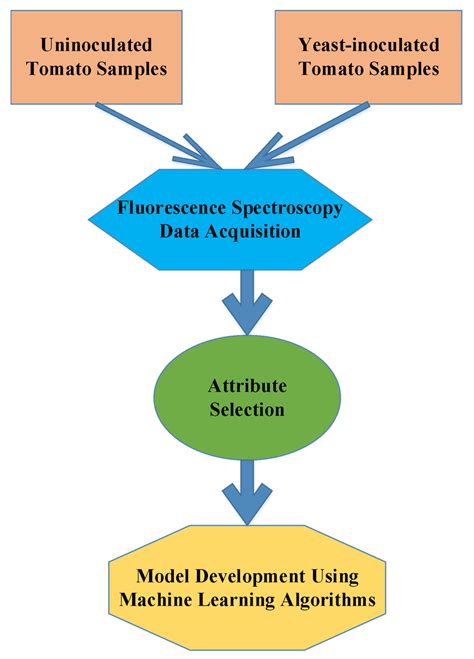 Schematic Approach To Fluorescence Spectroscopic Data Acquisition And Download Scientific