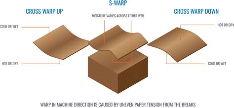 From Warp To Wow Transforming Corrugated Board Quality With Exilva Bio