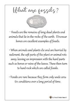 Fossils Unit Study By Asha Balachander Teachers Pay Teachers