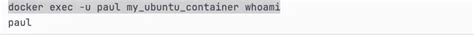 How To Use Docker Exec To Interact With Running Containers Dev Community