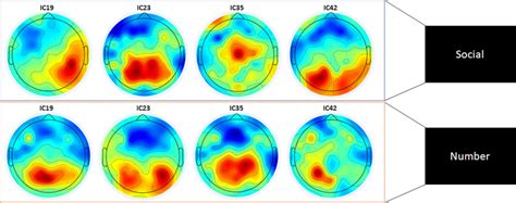 Topological Maps For Subject 1 Sub 01 Corresponding To Stimuli From