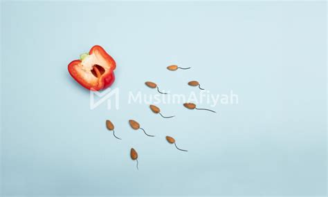 Menelan Sperma Suami Syariat Dan Medis Muslimafiyah