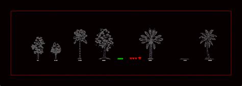 Planos de Tree indonesia en DWG AUTOCAD Clasificación botánica Arboles y plantas Planos