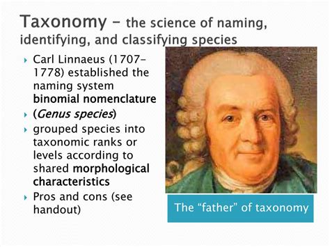 Ppt The Science Of Classification Powerpoint Presentation Free Download Id 1930401