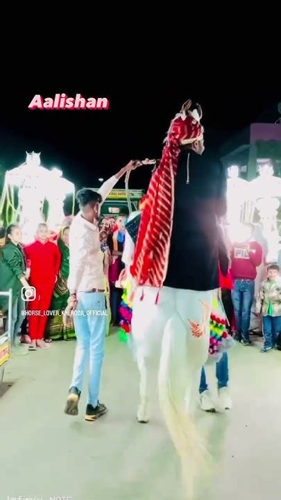 Asa Dance Aap Nai Kbi Ni Deka Hoga Horse Ka 🐎😱😱 Horseloverkheroda