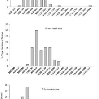 6 Gill Net Selectivity For The 7 6 Cm 15 2 Cm And 7 6 Cm 17 7 Cm Download Scientific Diagram