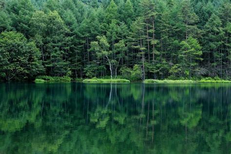 長野県茅野市日本画家東山魁夷が描いた作品のモデルになったといわれる御射鹿池みしゃかいけ Tree nature wallpaper
