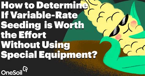 Is Variable Rate Seeding For Your Fields Worth The Effort