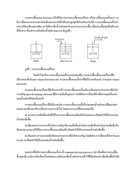 fed batch pdf