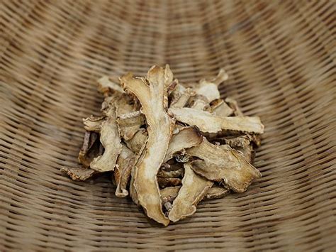 知母 药材图谱 中华药典－国医小镇