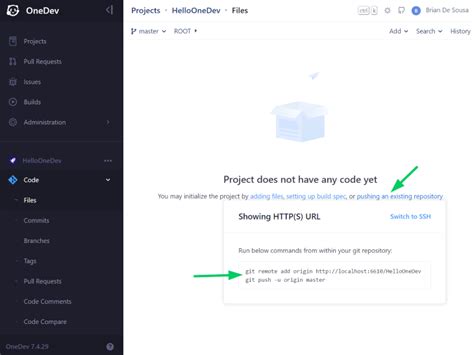 Construct And Deploy An Internet App With Onedev Handlait