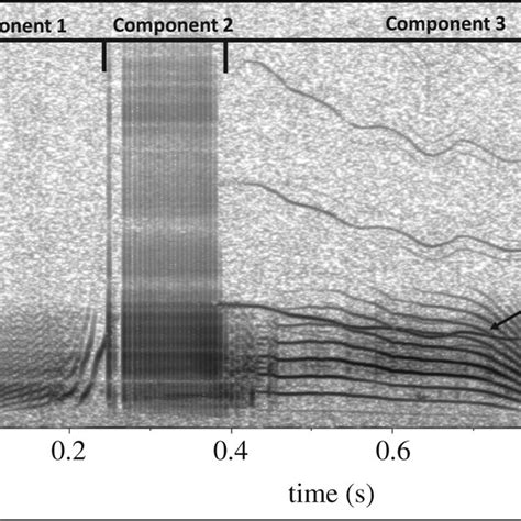 Spectrogram Illustrating How Calls Are Segmented Into Components This Download Scientific