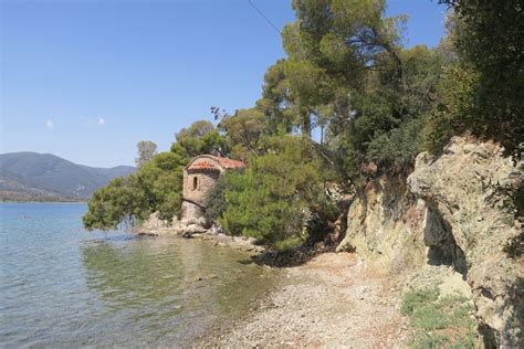 how to control a checkbox with react hooks by cristian salcescu frontend essentials medium