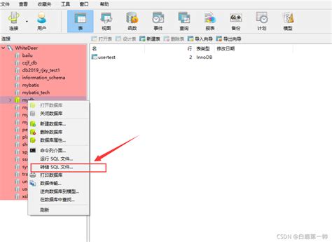 数据库管理工具：如何使用 navicat premium 转储（导出）和运行（导入） sql 文件？ navicat怎么打开 sql文件