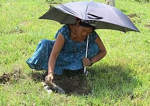 Water Safeguarding It Being Protected From It WWF