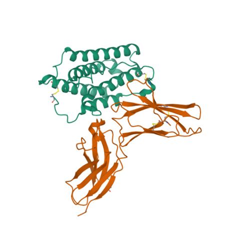 Rcsb Pdb 2kz1 Inter Molecular Interactions In A 44 Kda Interferon Receptor Complex Detected