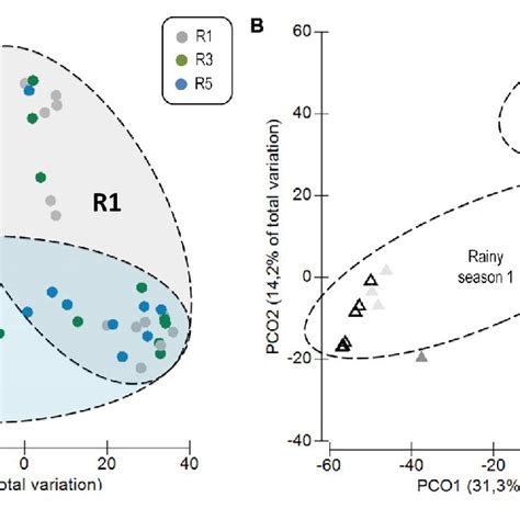Principal Coordinates Analysis Pcoa Weighted Unifrac Based On The