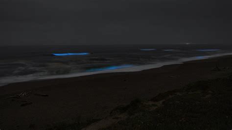 Bioluminescent Surf Under An Overcast Night Sky Point Reyes National