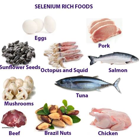 Food Sources Of Selenium Include At Charles Amos Blog