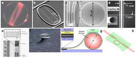 Different Types Ring Resonator Sensor Configurations A Microsphere Download Scientific