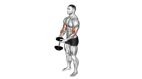 6 Effective Exercises For A Bigger Rounder Bum Workout Guru