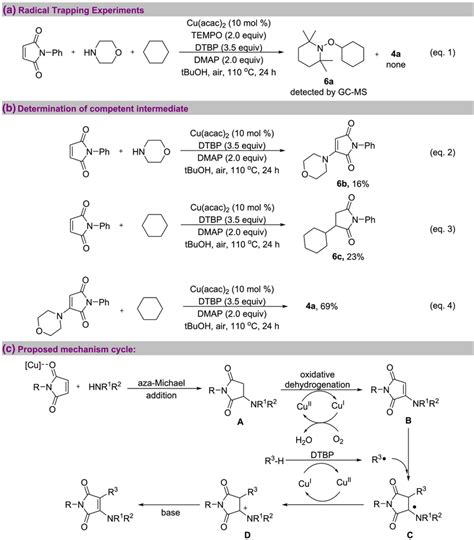 Control Experiments And Putative Catalytic Cycle Download Scientific