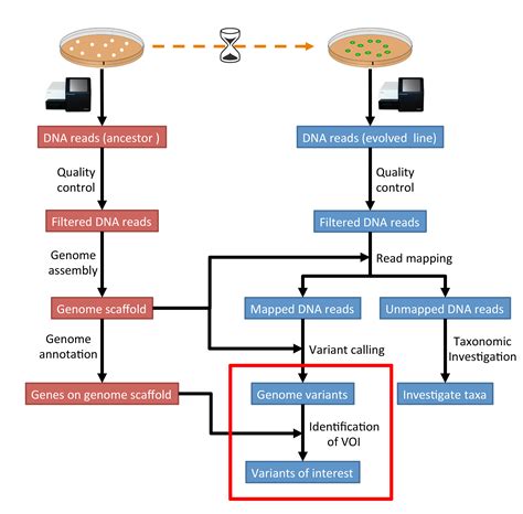 10 Variants Of Interest — Genomics Tutorial 202020 Documentation