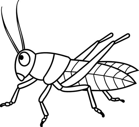 Grasshopper Coloring Vector Art Icons And Graphics For Free Download