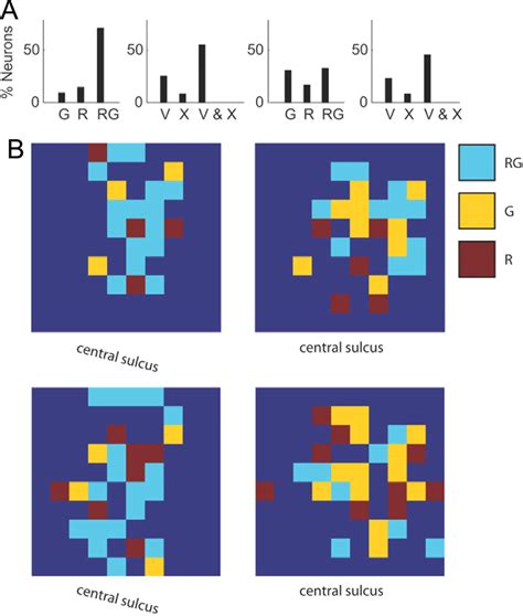 Summary Of Tuning Properties Of Neurons A Left Bar Graph Plot The