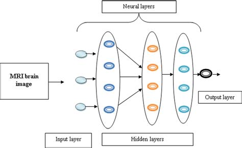 Structural Diagram Of Feed Forward Download Scientific Diagram