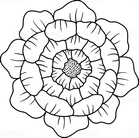 Hand Drawn Rose Flower Sketch Line Art 10864157 Png