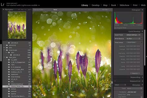 13 Best Bokeh Apps For Ios And Android In 2025
