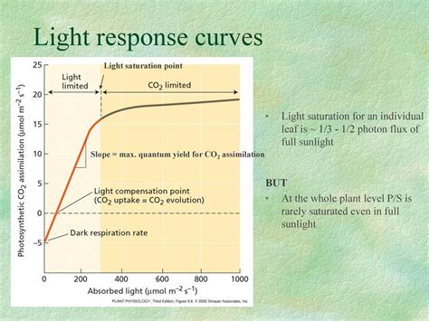 Photosynthesis Carbon Dioxide Water Glucose Oxygen Sunlight Ppt Download