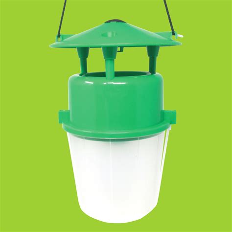 Moth Trap For Box Tree Reduce Caterpillar Numbers