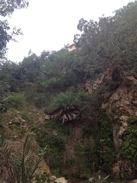 Elevation Of Thally Tamil Nadu India Topographic Map Altitude Map