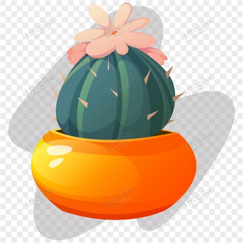 귀여운 선인장 식물 그림 Png 일러스트 무료 다운로드 Lovepik