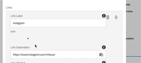 Aem 63 Icon Picker Not Showing Icons When Using Custom Fonts · Issue 1387 · Adobe Consulting