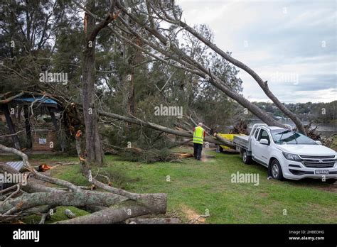 Freak Summer Storm Hits Sydney Northern Beaches Narrabeen Lake Trees