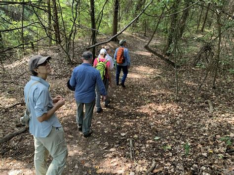 surveying the trees of north texas cross timbers urban forestry council