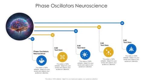 phase oscillators neuroscience ppt example cpp ppt template